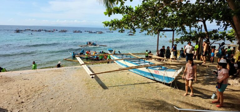 Oslob Whale Sharks - All You Need to Know - Moalboal Adventures