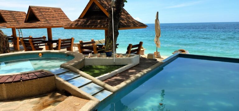 Oslob Whale Sharks - All You Need to Know - Moalboal Adventures