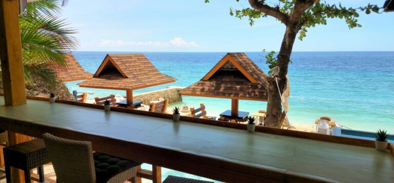 Oslob Whale Sharks - All You Need to Know - Moalboal Adventures