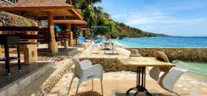 Oslob Whale Sharks - All You Need to Know - Moalboal Adventures