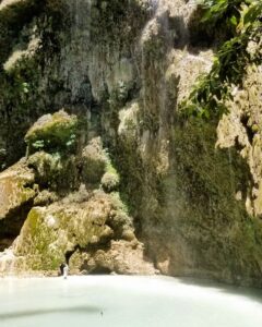 Oslob Whale Sharks - All You Need to Know - Moalboal Adventures