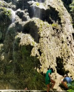 Oslob Whale Sharks - All You Need to Know - Moalboal Adventures