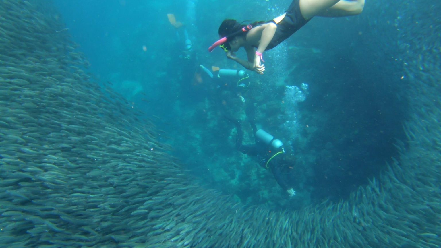 Moalboal: The Only Guide You Need for Cebu's Adventure Capital - Moalboal Adventures